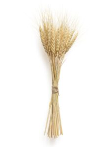 History – Flour.com